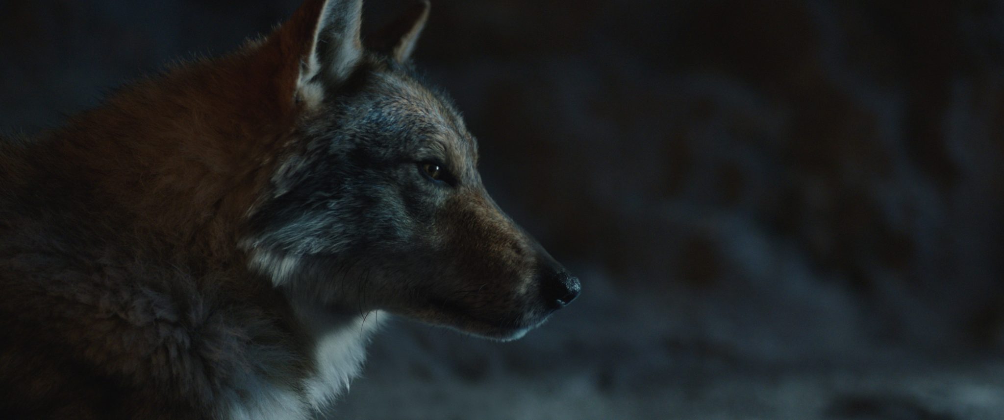 MPC Film’s Character Lab Team Creates Wolves and Ice Age Animals for ...