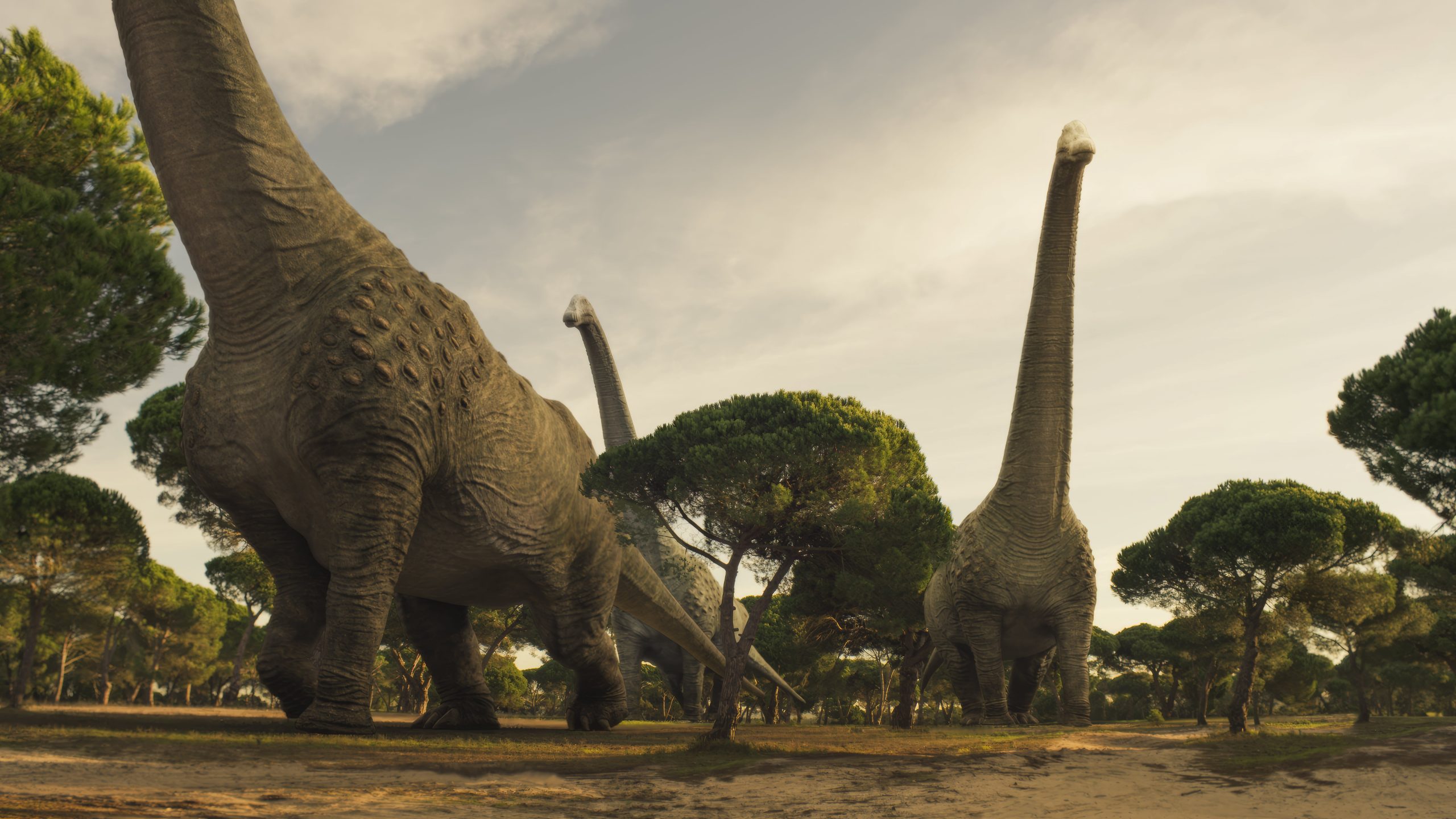 From fossil to frame: Lola reimagines the age of dinosaurs for BBC ...
